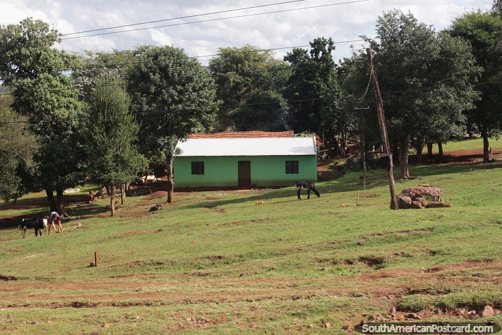 Nice property with trees in the countryside south of Dr. Raul Pena ...