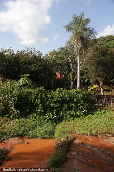 Stream, palm tree and nature in Caacupe. Photo from Paraguay, South ...